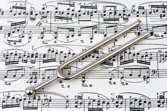 Discovering your perfect pitch | Leary Gates | Venture coach